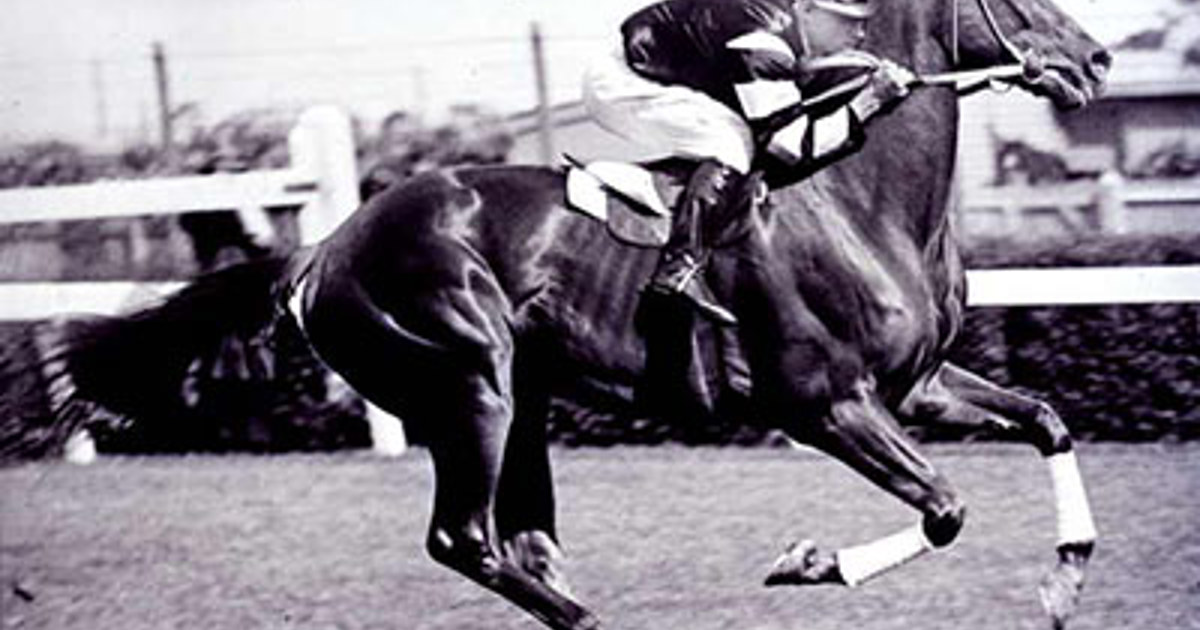 Melbourne Polytechnic History - Preston Technical School