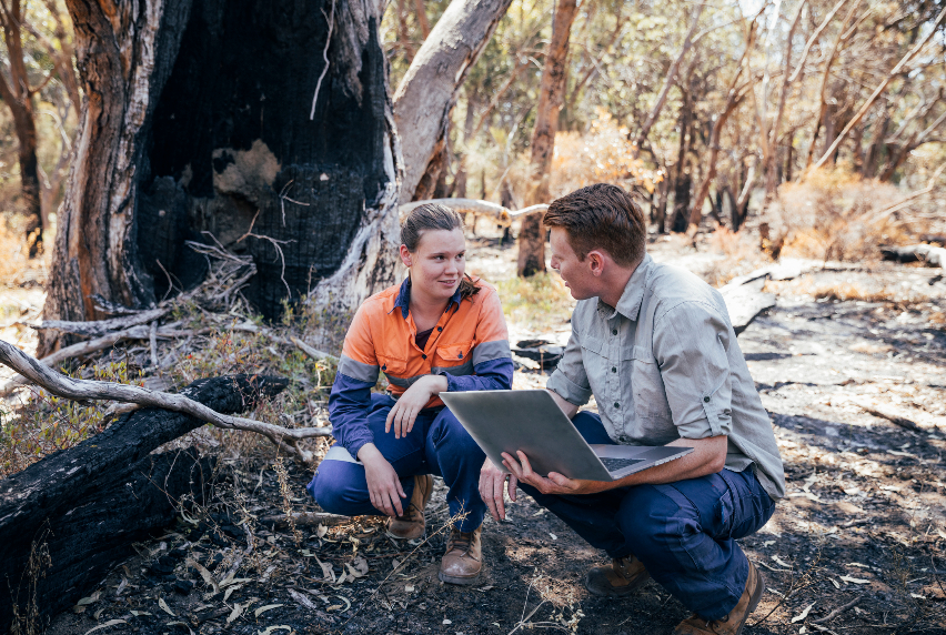 Top reasons why studying Conservation and Land Management is more ...