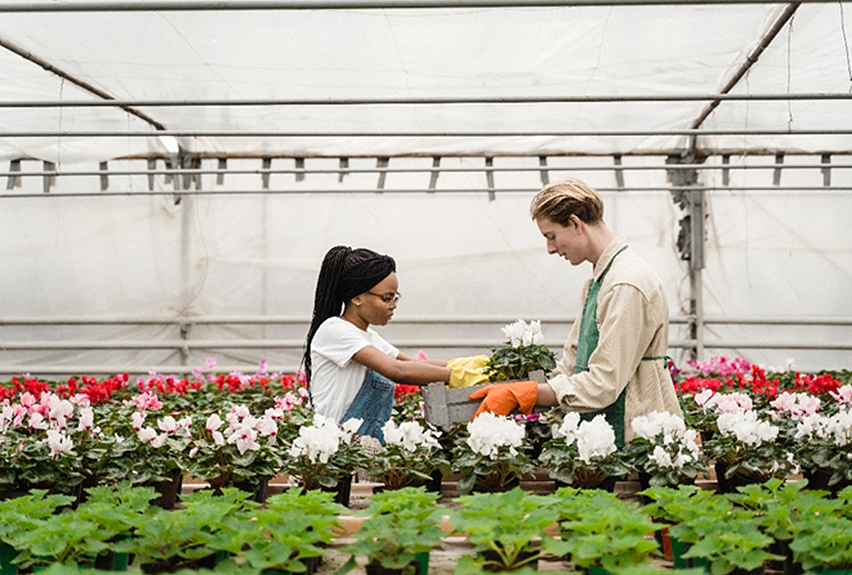 Floristry vs. Horticulture: Which Career Path Should You Choose ...